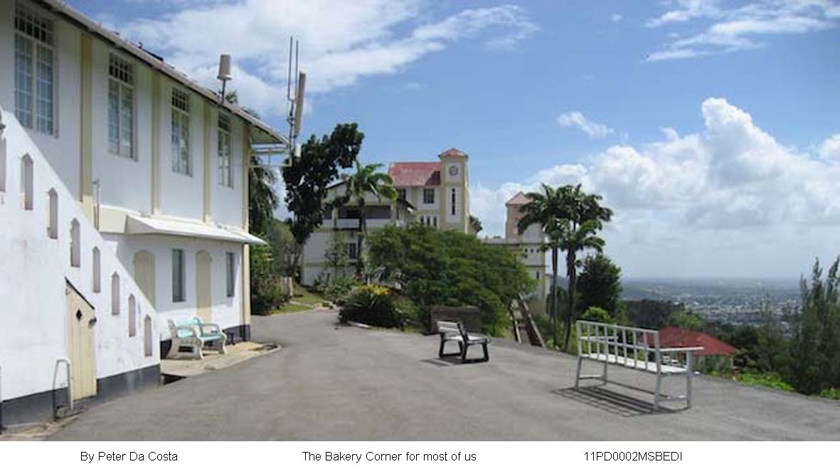 Abbey School, Mt St Benedict, 2013 Circulars: January 2013