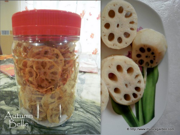 kerepek akar teratai - Joan Ince