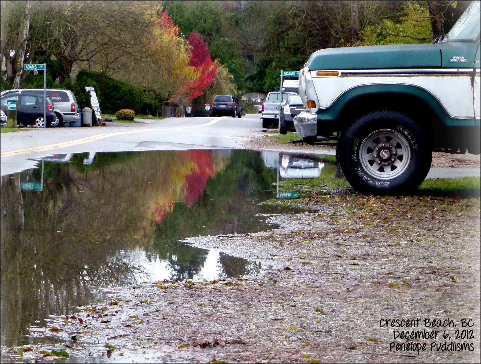 Musings of A Puddlist In B.C.: The Secret World Of Puddles