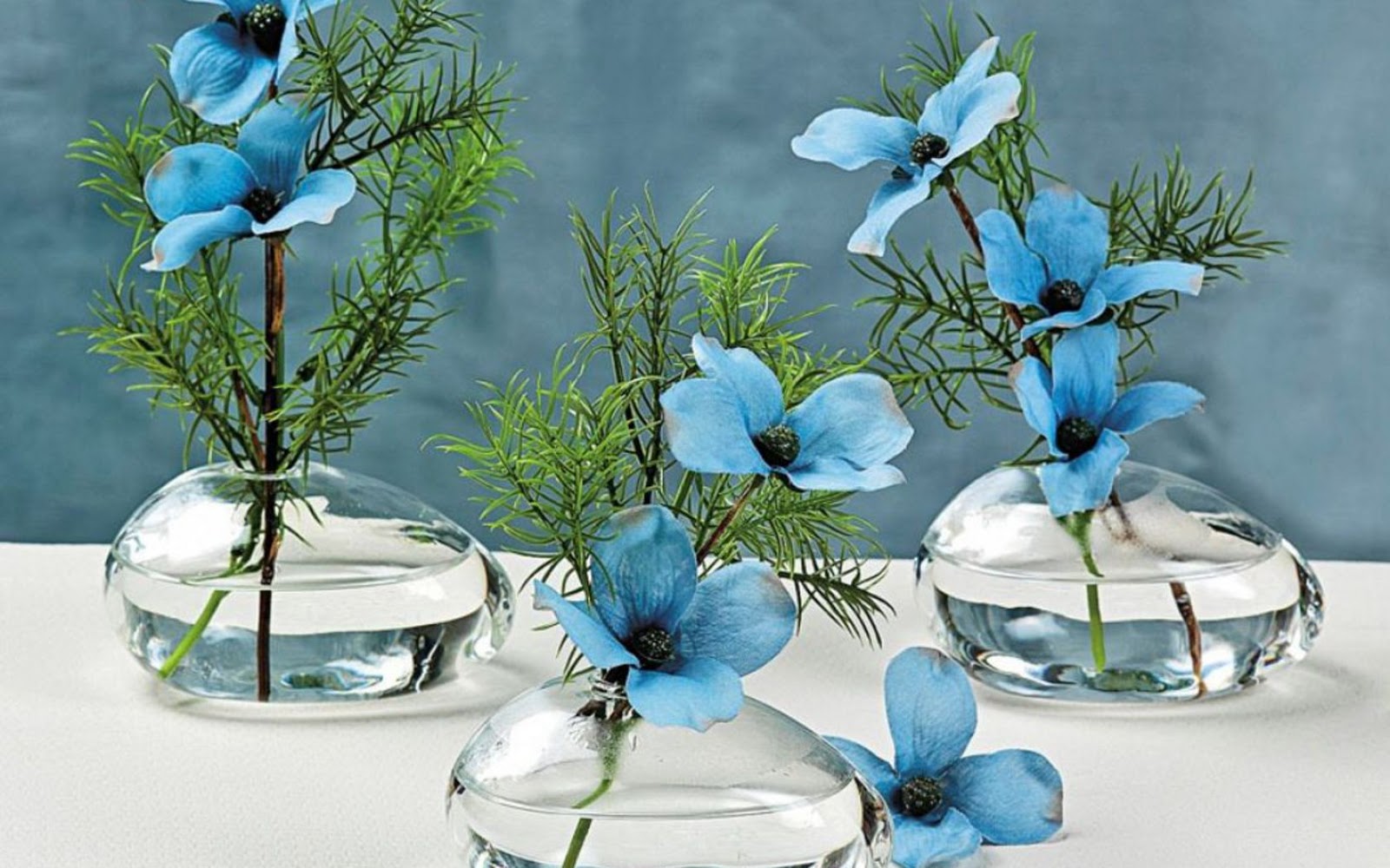 ELIMIKA NA UFURAHIE: MAUA MAZURI YA KUPENDEZA