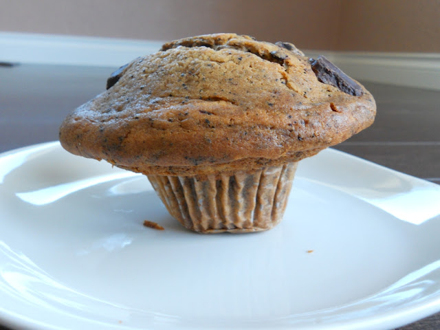 Snacking Squirrel: Whole Foods Bakery