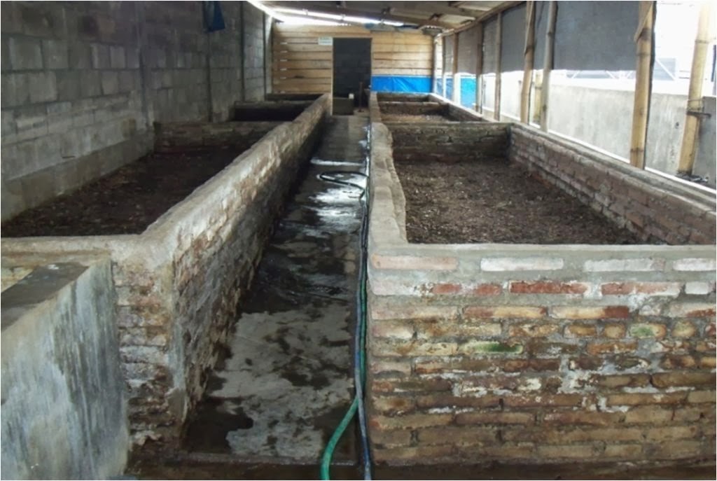 Bagaimana Cara Membudidayakan Cacing Tanah ~ BUDIDAYA CACING TANAH