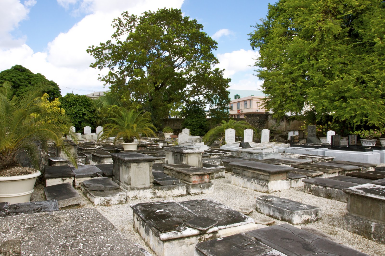 Loop Barbados: Ancient Beauty Still Standing Strong