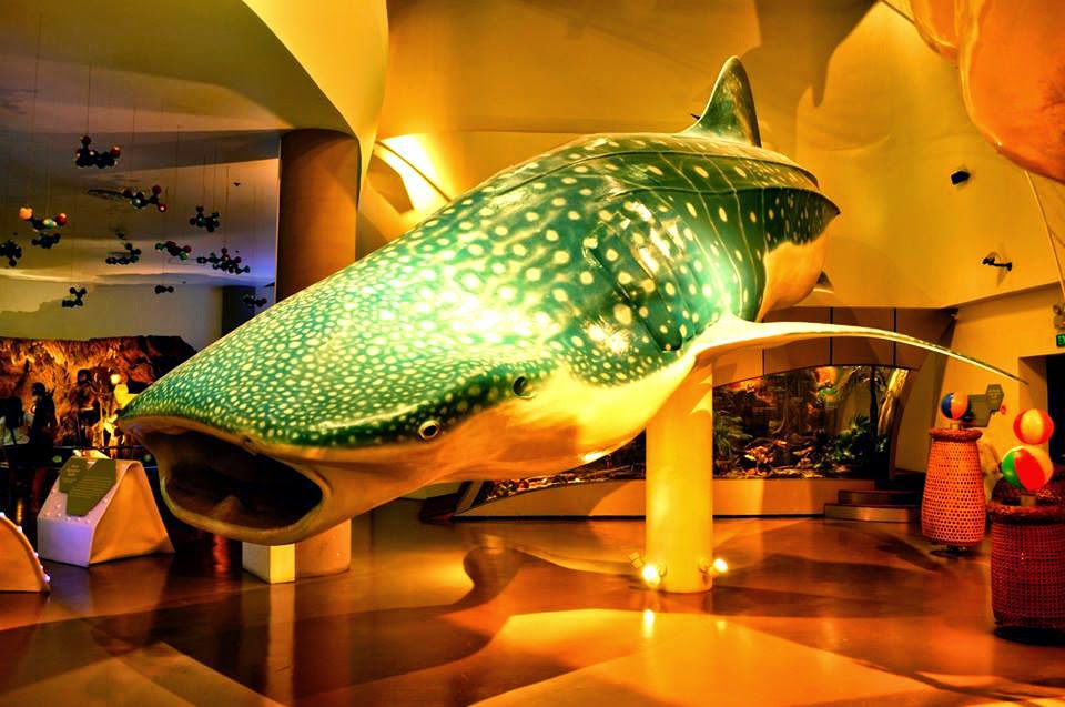 The Mind Museum Taguig Review: Where Science Comes Alive! - Laces and ...