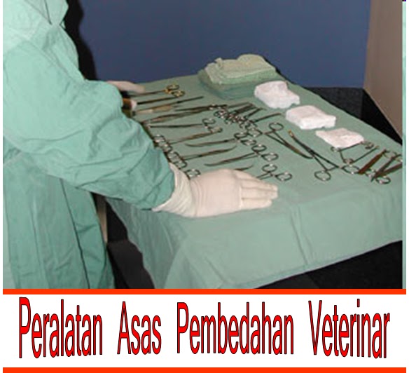 bukan doktor veterinar: Peralatan Asas Pembedahan Veterinar