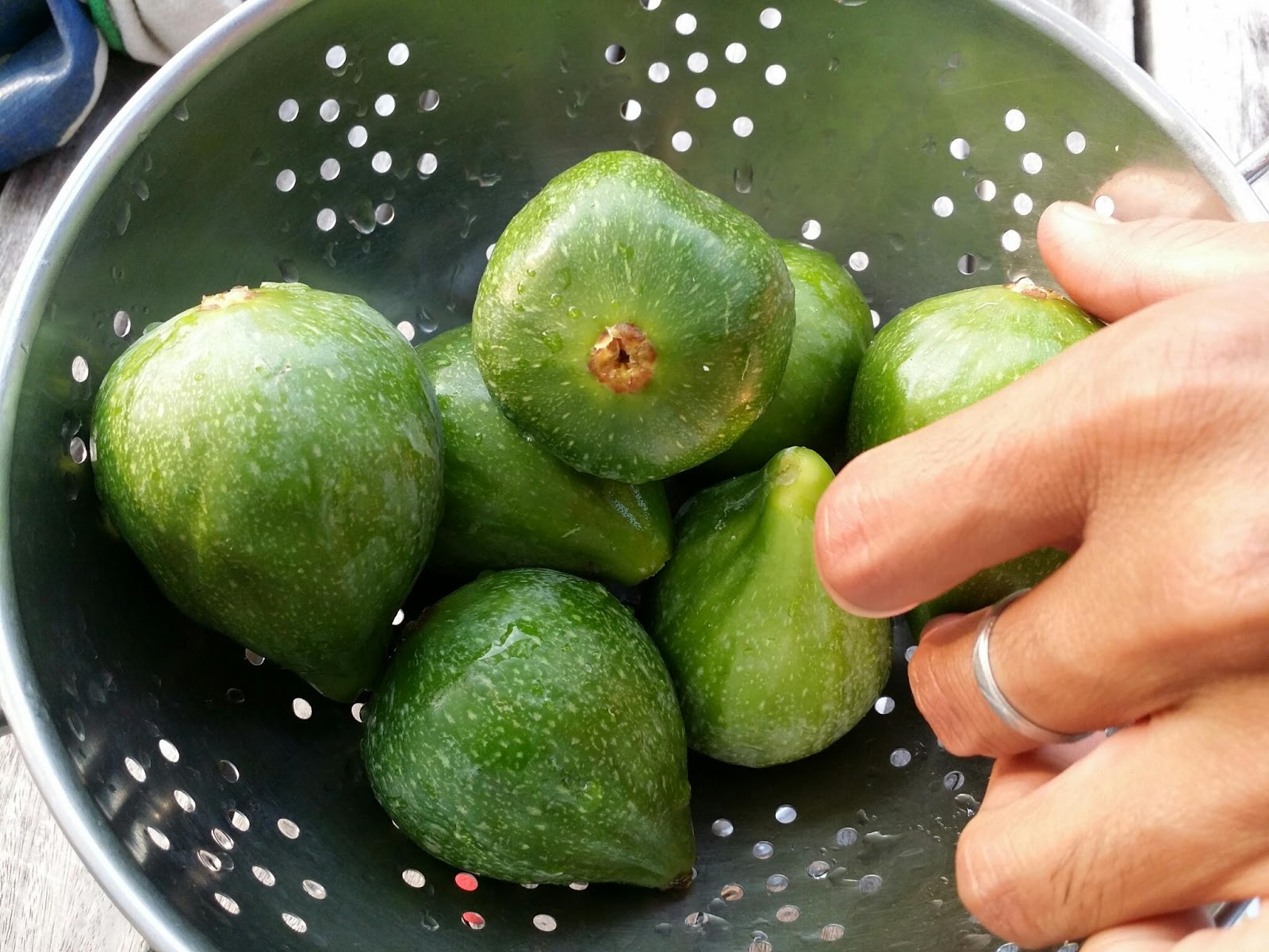 Seattle Garden & Fruit Adventures: Fig of the week. #3 Desert King