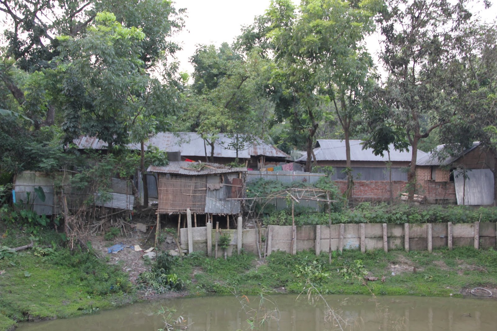 Bideshi Adventures in Bangladesh: Walks in Gaibandha