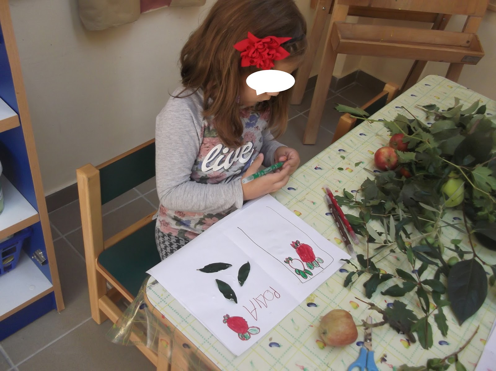 TA ΦΘΙΝΟΠΩΡΙΝΑ ΔΕΝΤΡΑ ΤΗΣ ΓΕΙΤΟΝΙΑΣ ΜΑΣ