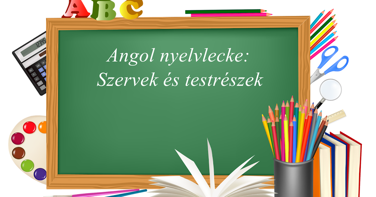 Tippek, ötletek, segítség: Angol nyelvlecke: Szervek és testrészek