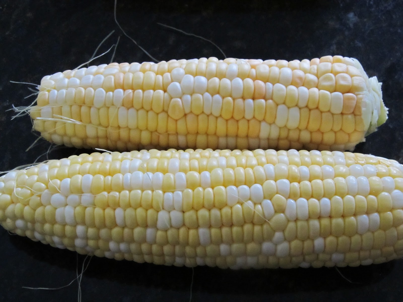 Back to the Land Mama: Store Bought Corn vs. Home Grown Corn