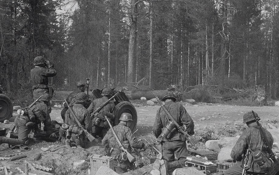 Armour force / Panssaroitu voima : 6th SS Mountain Division Nord