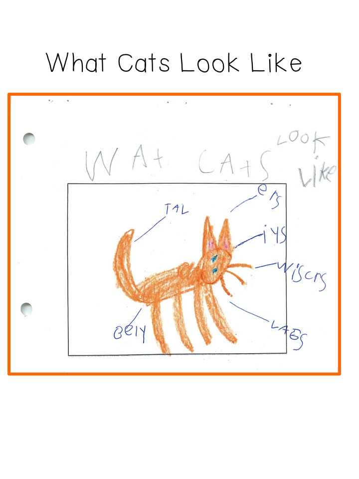 Joyful Learning In KC: Animal Research Writing