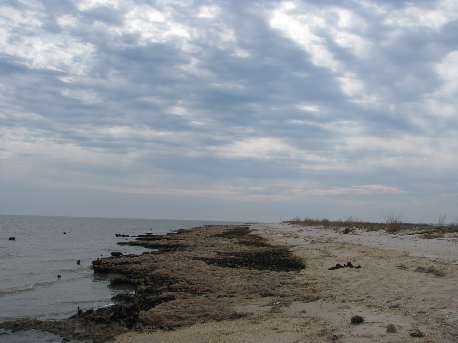 Life in Mathews: Bethel Beach