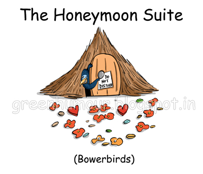 Green Humour: 15 Amusing Bird Nests