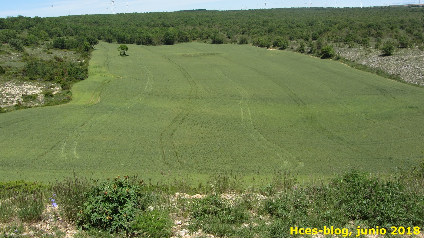 Huérmeces (Burgos): El Hoyo de Montorio