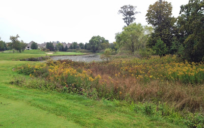 American Golfer: Course Review: StoneWater Golf Club