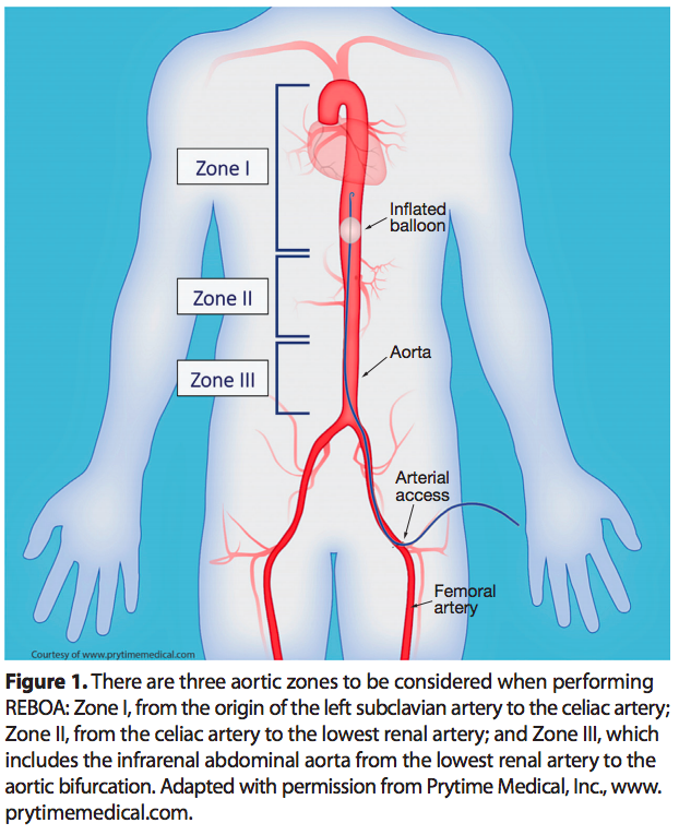 EMS SOLUTIONS INTERNATIONAL by @DrRamonReyesMD marca registrada ...