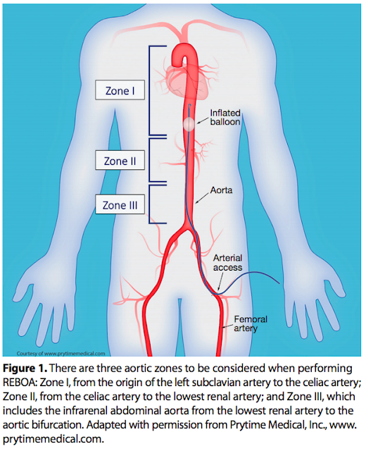 EMS SOLUTIONS INTERNATIONAL by @DrRamonReyesMD marca registrada ...