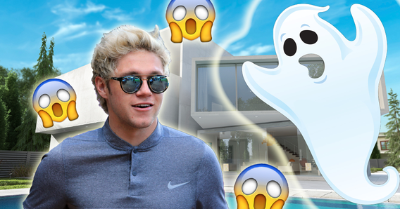 National Paranormal Association: Some Guy from the band One Direction ...