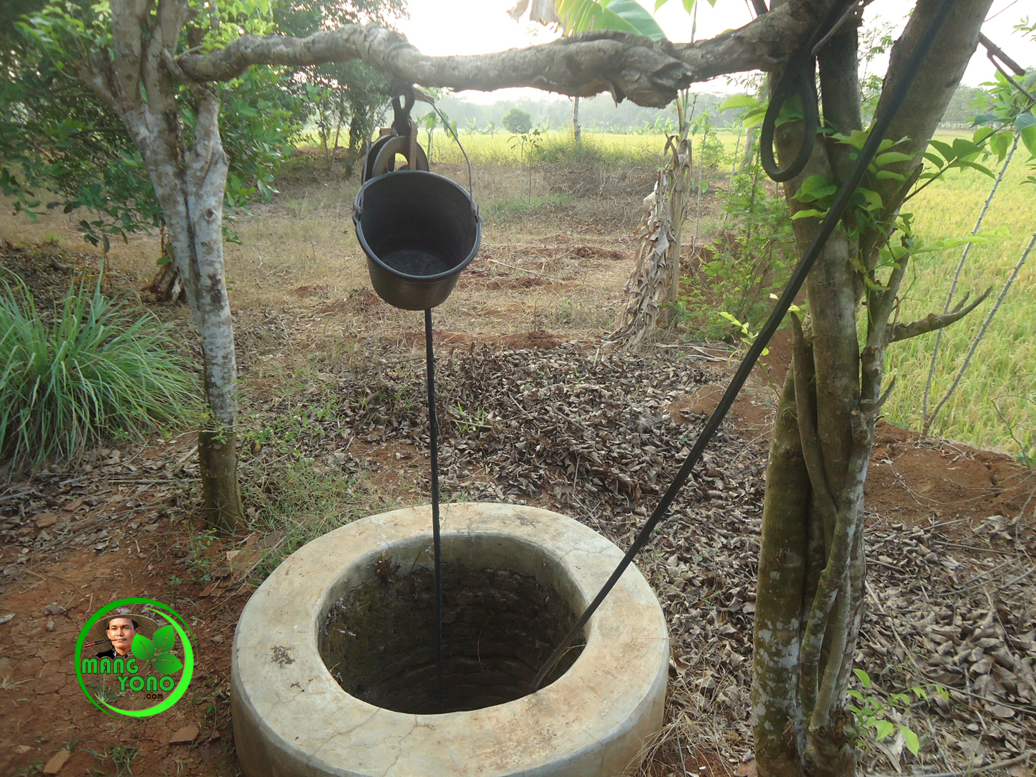 Masih menggunakan Sumur Timba