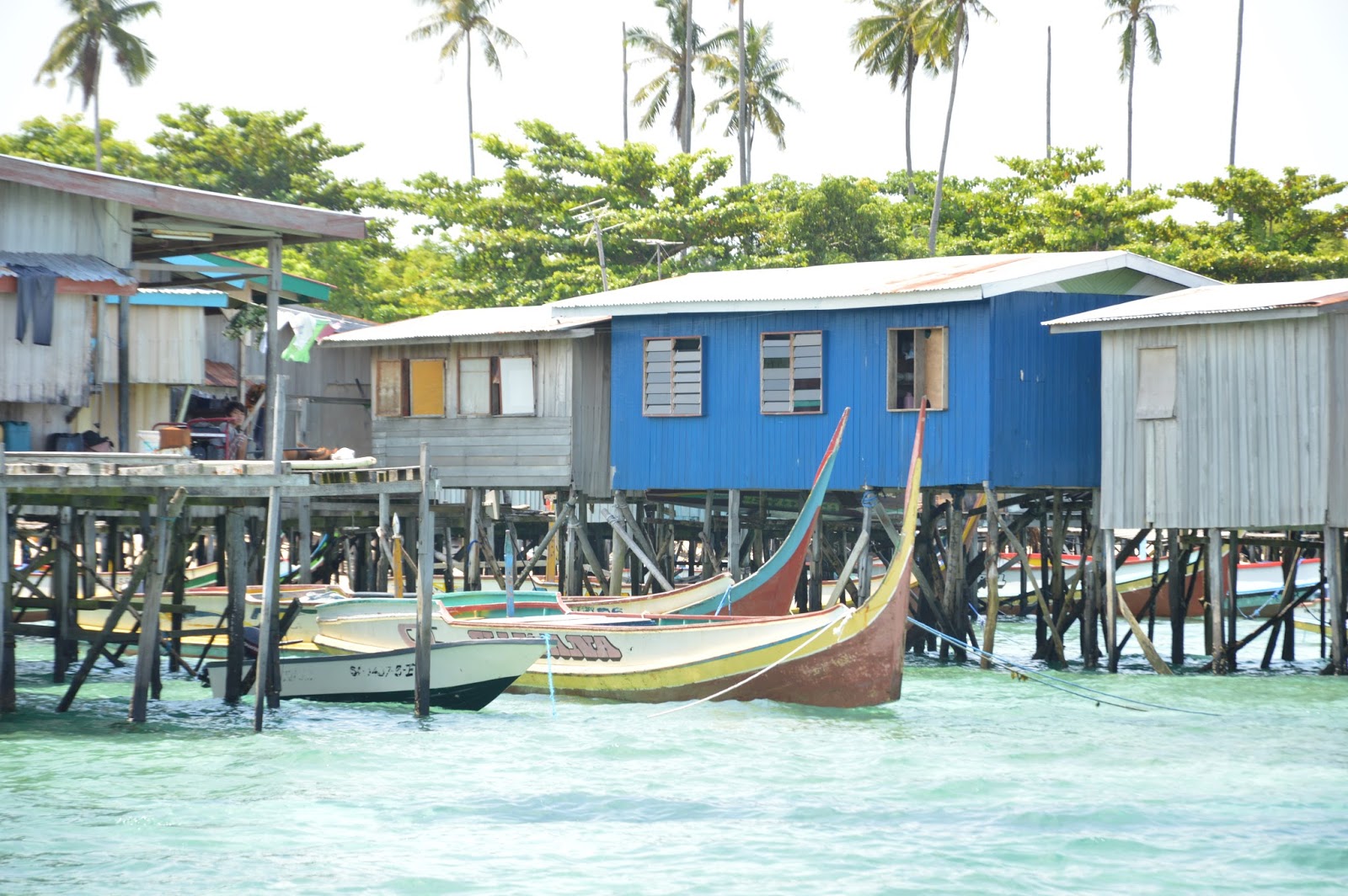 Best Eco Fishing Experience : Payao Eco Fishing