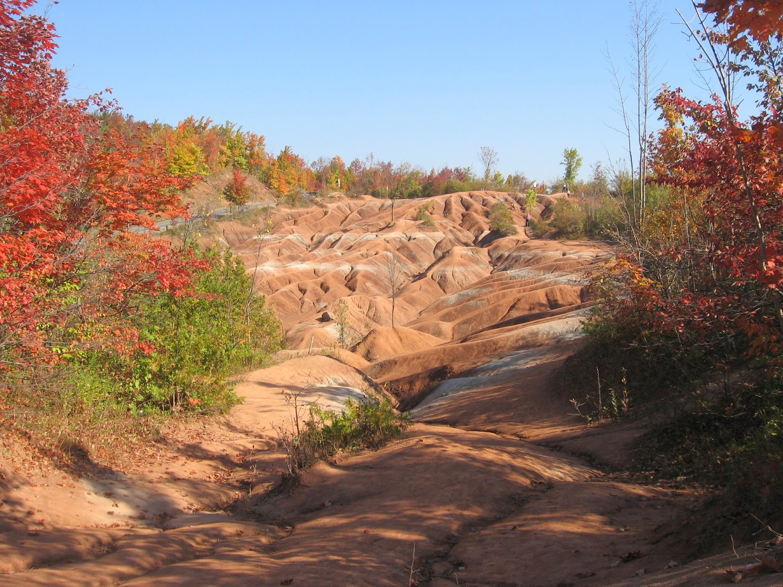 Fibre Art by Mary Katherine Hopkins: Red Rocks in Cheltenham Ontario
