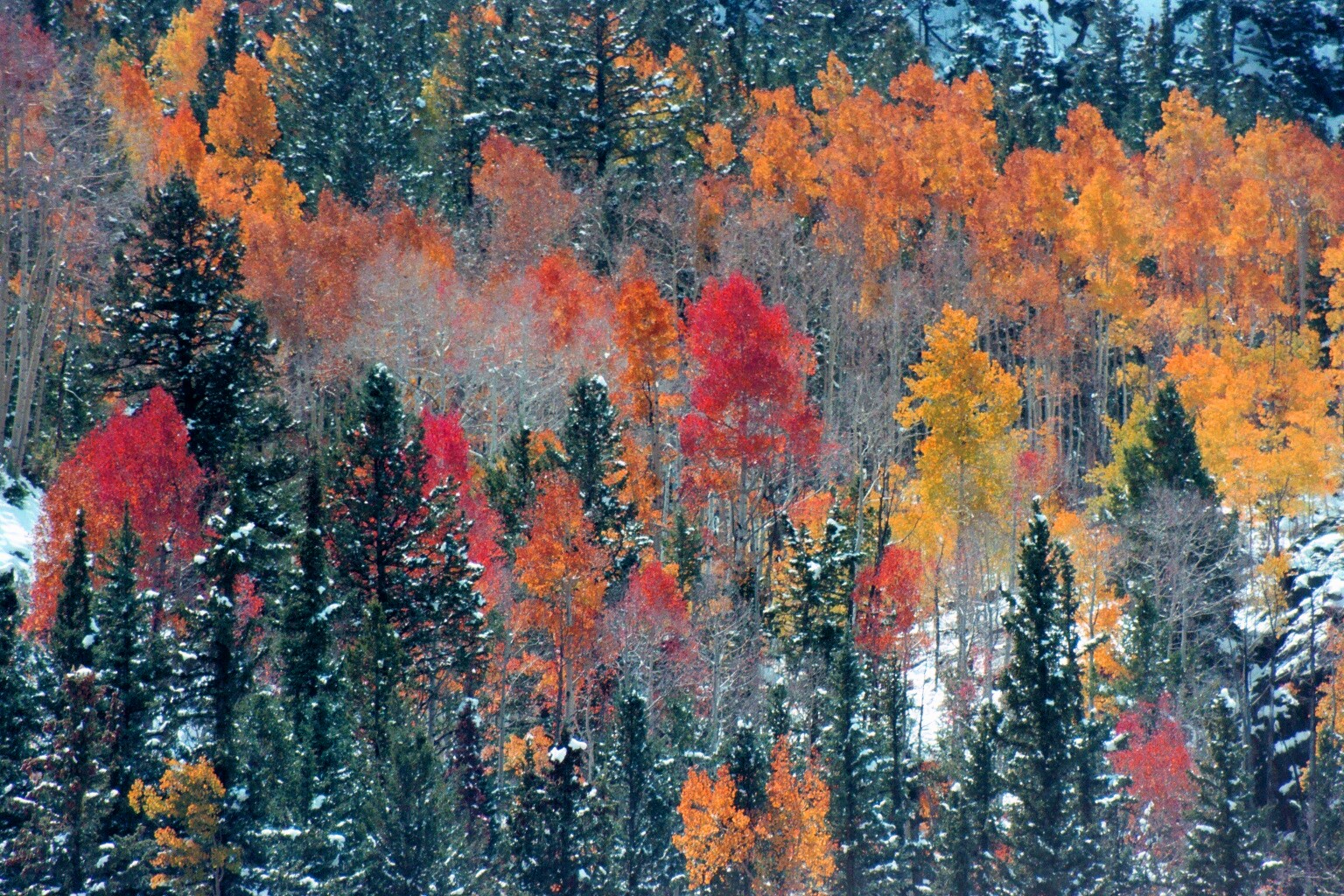 One Day in America: Autumn in the Colorado Rockies