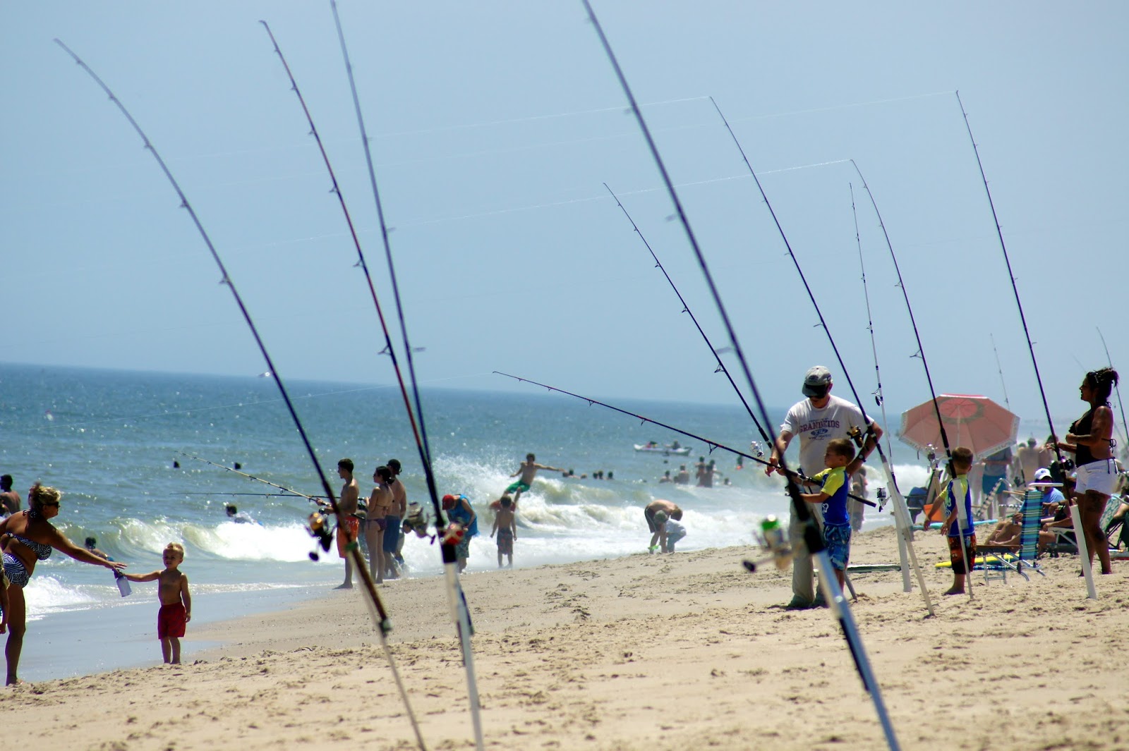 The RV Kids!: Fish from Delaware Seashore State Park and Cape Henlopen