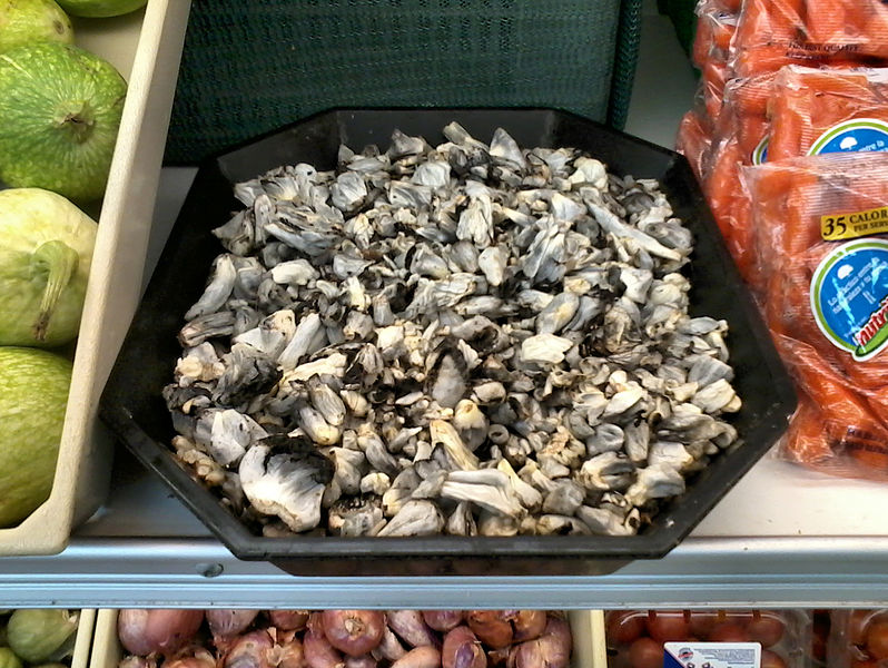 Farms Forests Foods: Corn Smut, Cuitlacoche or Mexican Truffle, is ...