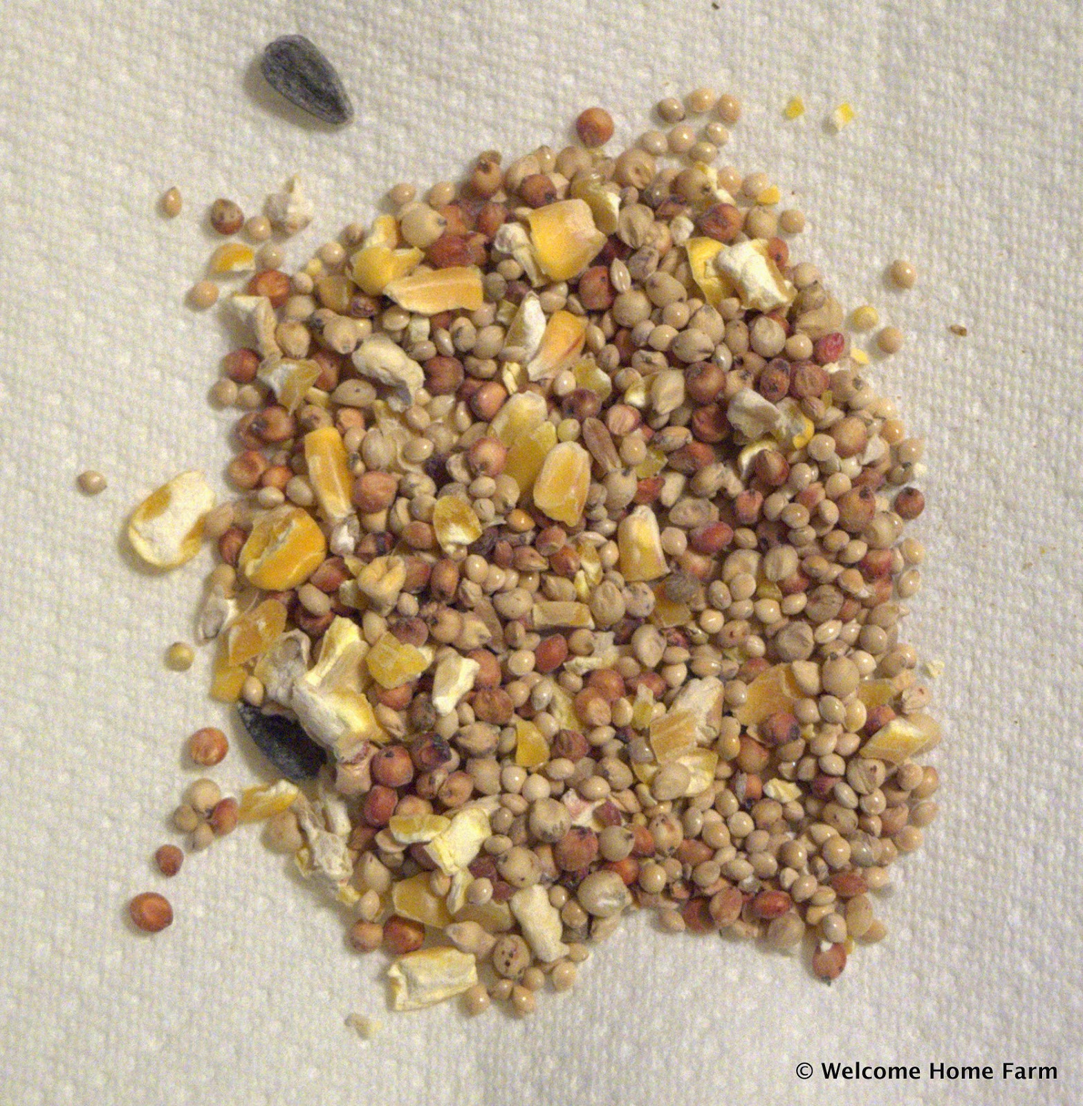 What Do Farm Animals Eat? - My Welcome Home Farm