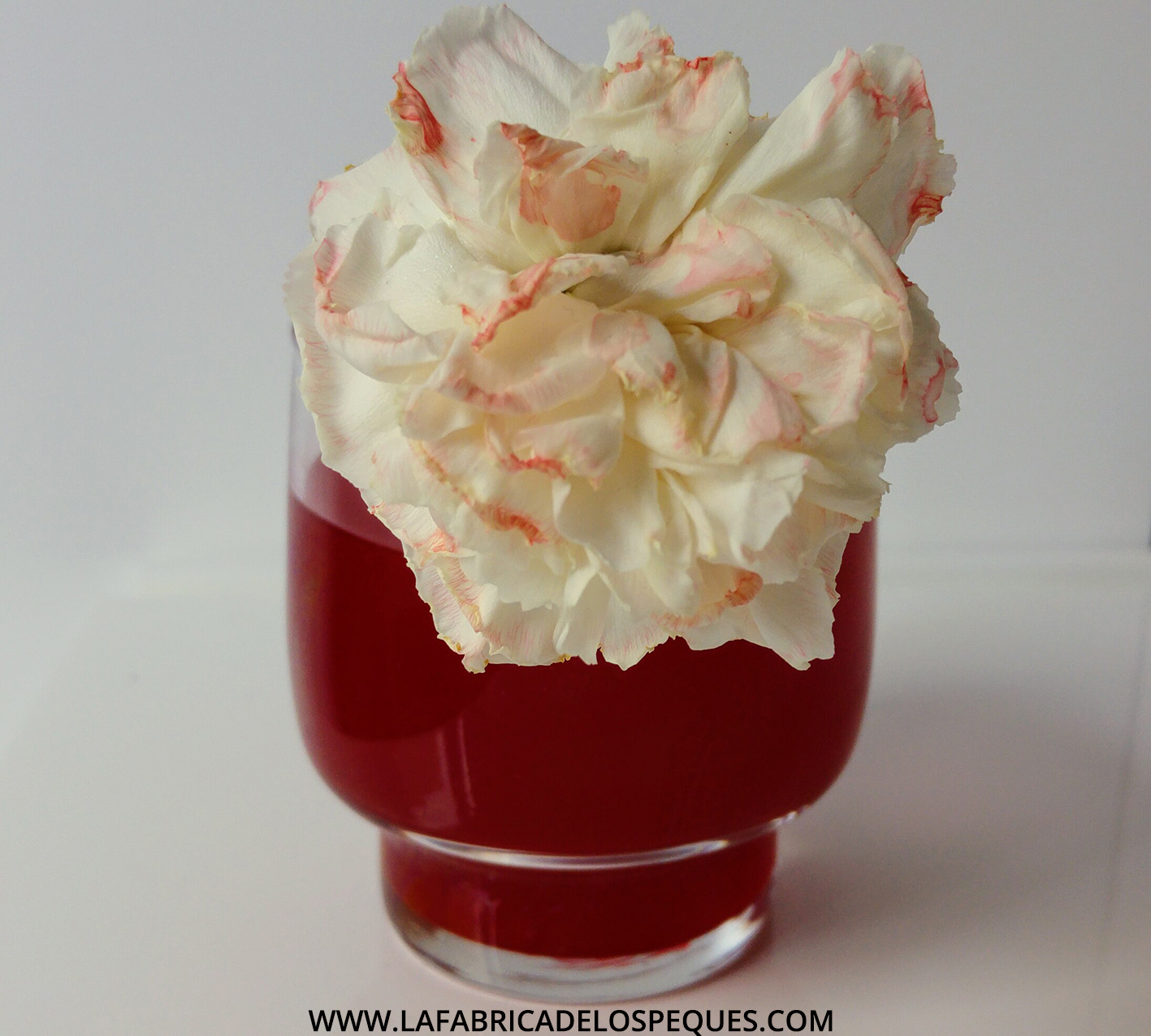 Experimento con plantas, agua y colorante alimentario