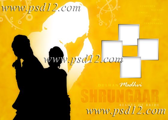 12x18 Photo Album HD Mix Backgrounds - PSD12