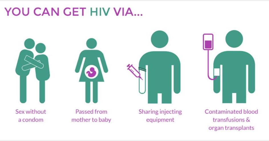 Liga Universitária de Imunologia: Você sabe como o HIV leva à Aids?