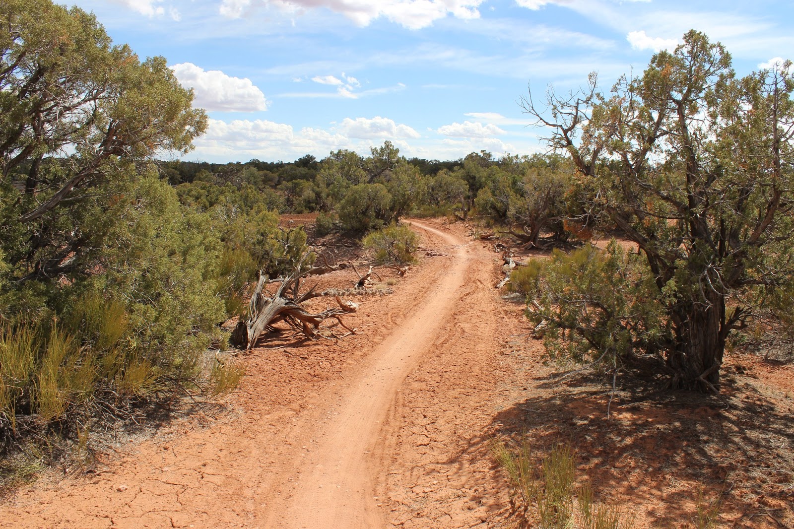 gjhikes.com: Big Chief Loop