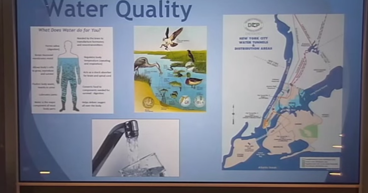 A Little Stats: Using Data in the Science Classroom