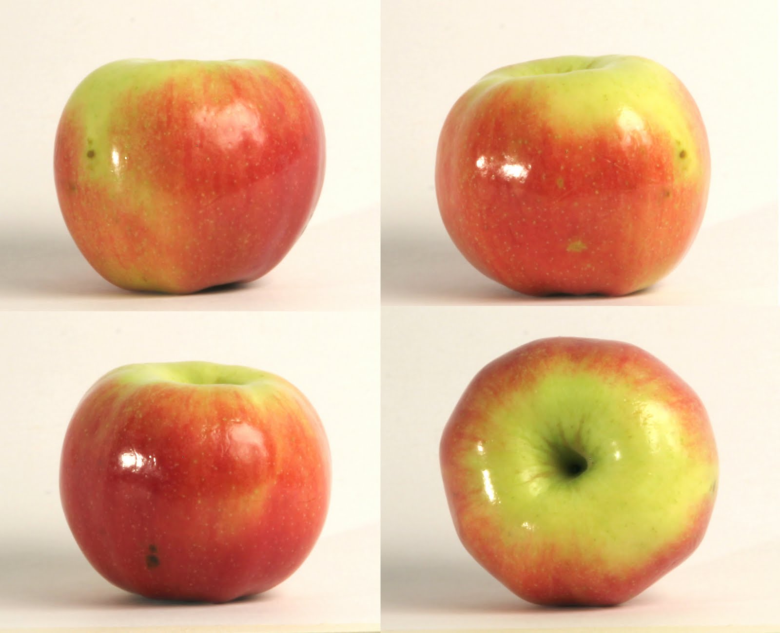 VIZA 685 - Surfacing: apple reference