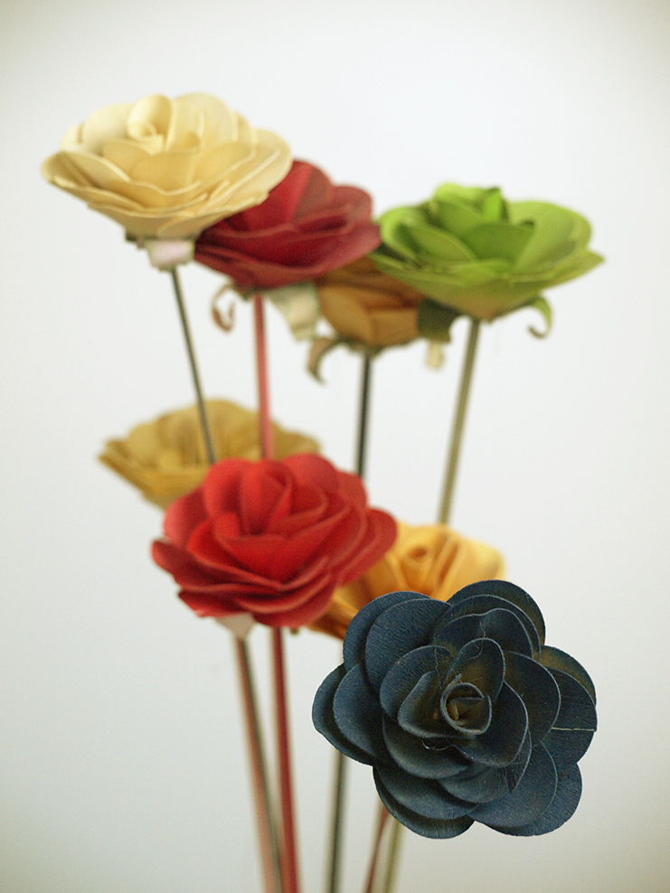 Cosas de princesas: noviembre 2011