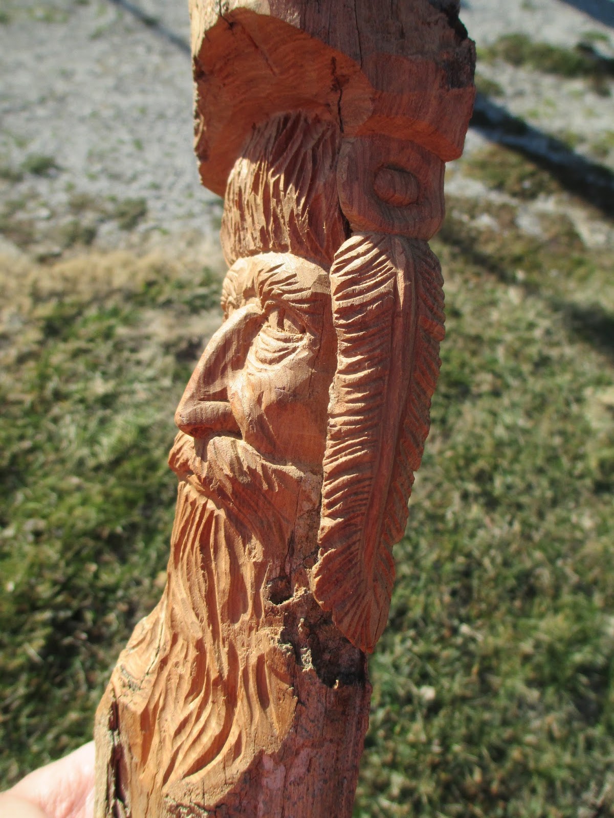 Knotty Wood Spirits: New Cottonwood Bark Carvings