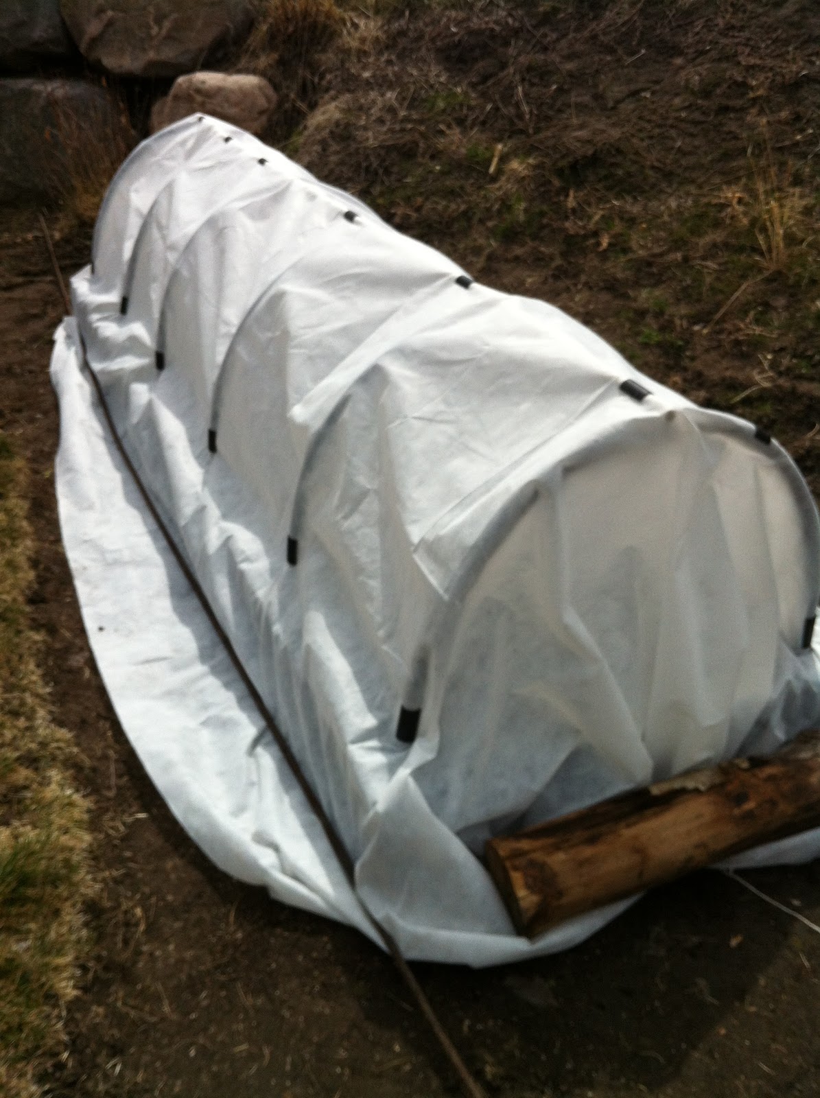 Laura Vanderbeek: March 2012