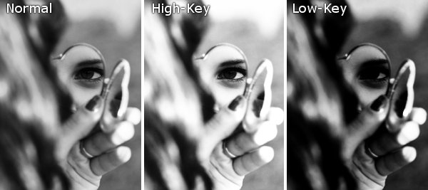 Megan's Photography: High Key and Low Key Photography