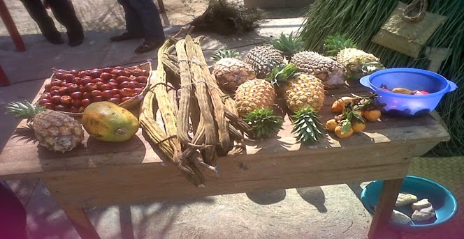 EBFM-AMAZONAS: GASTRONOMICA DE LOS PUEBLOS INDIGENAS