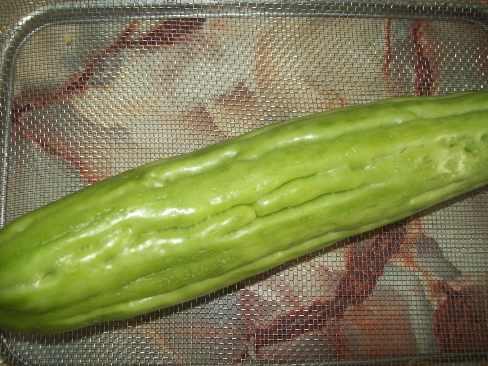 SUPERMENG MALAYA: Tugasan Ramadhan 2011 - Pajeri Momordica Berinti ...