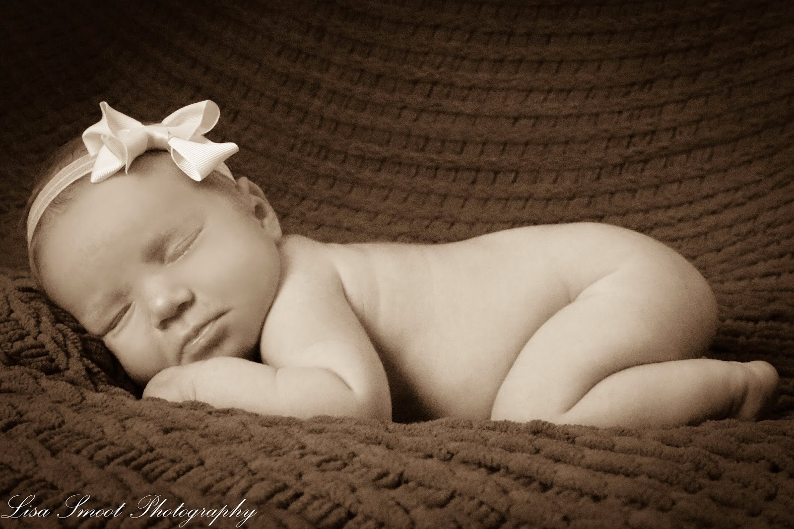 Welcome to Lisa Smoot Photography!