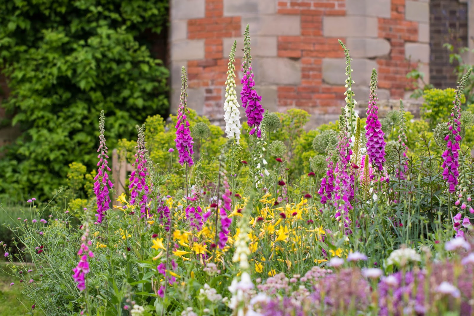 Escapes and Photography: An array of flowers and sweet smelling Roses ...