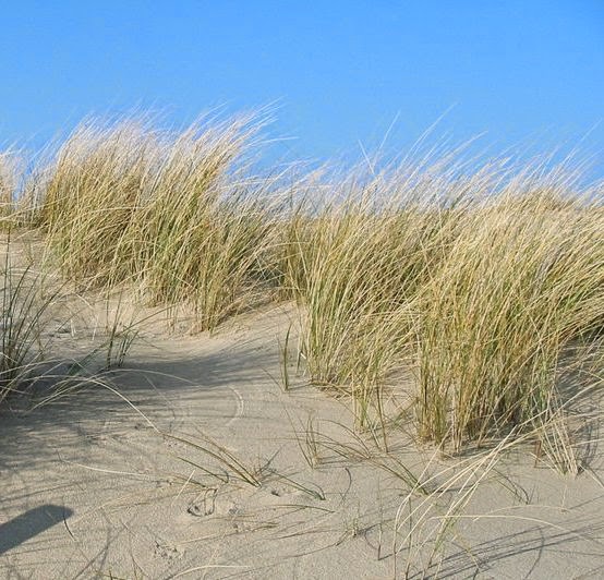 TERRITORIO SOCIEDAD Y CULTURA-III