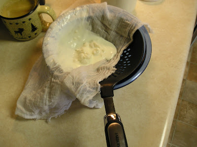 Thoughts from Frank and Fern: Trying Kefir