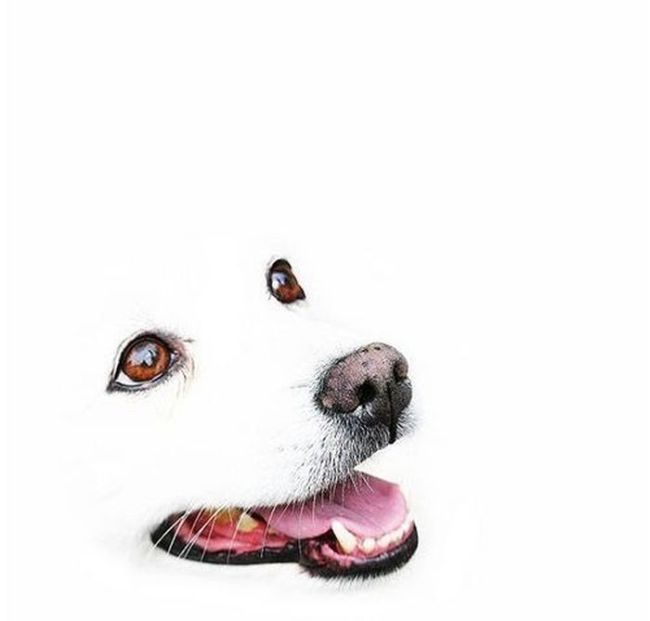 Conteng2Kreatif: Gambar-gambar Yang Sangat Menarik ( 28 Gambar )