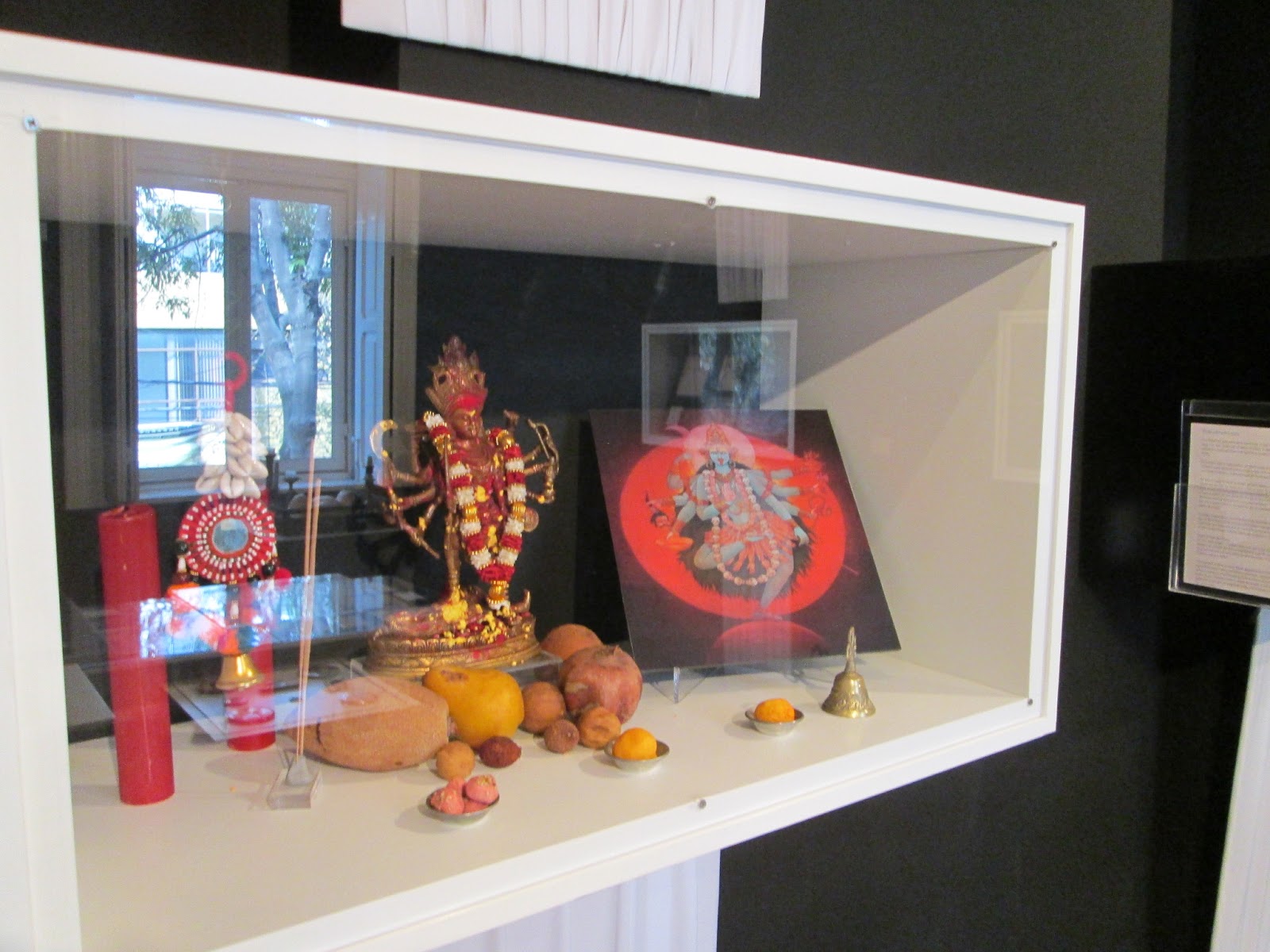 Jake, the Roving Librarian