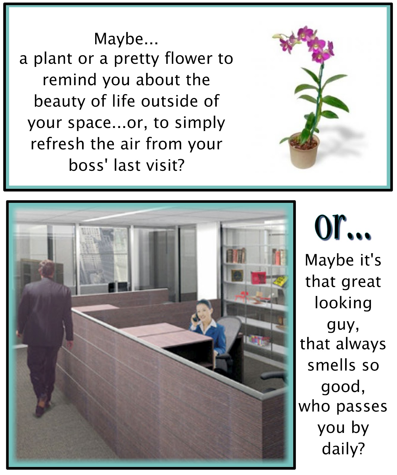 Designs by Rhonda: What's your View?