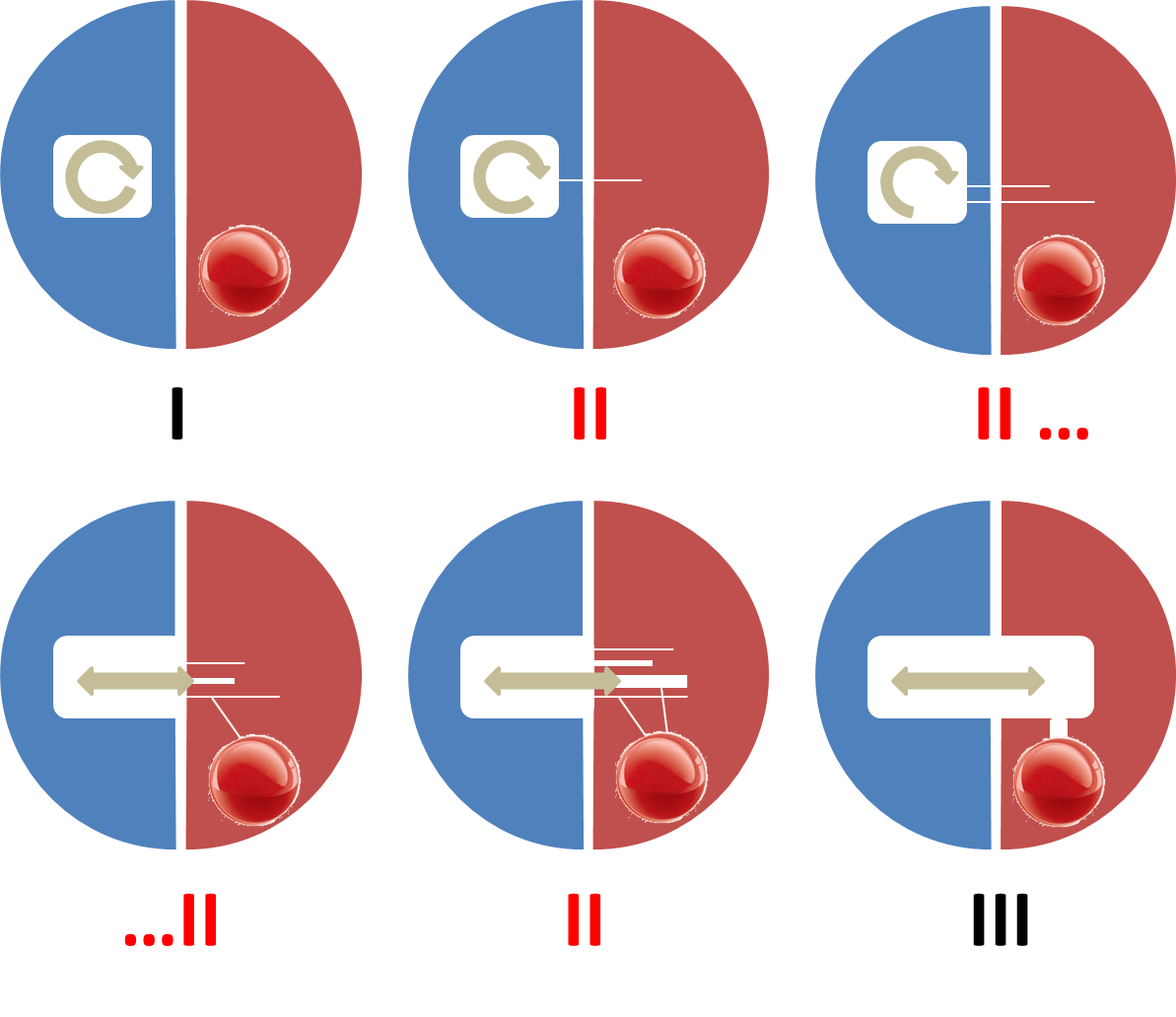 Ejercicios para superar la Despersonalización y Desrealización: FASES ...